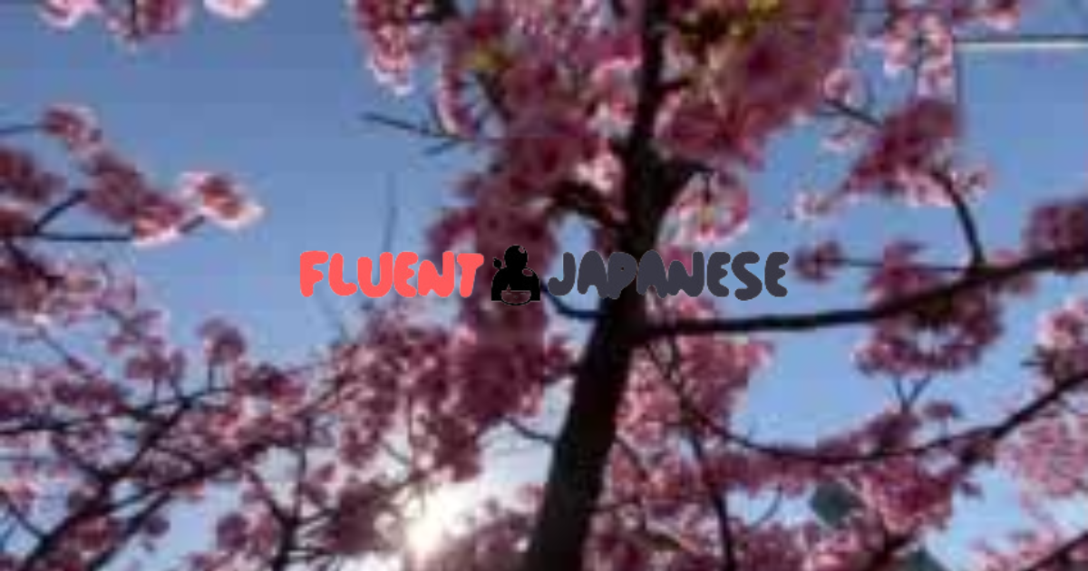 Fluent Japanese